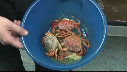 FDA approves new shellfish testing at Maine lab | newscentermaine.com