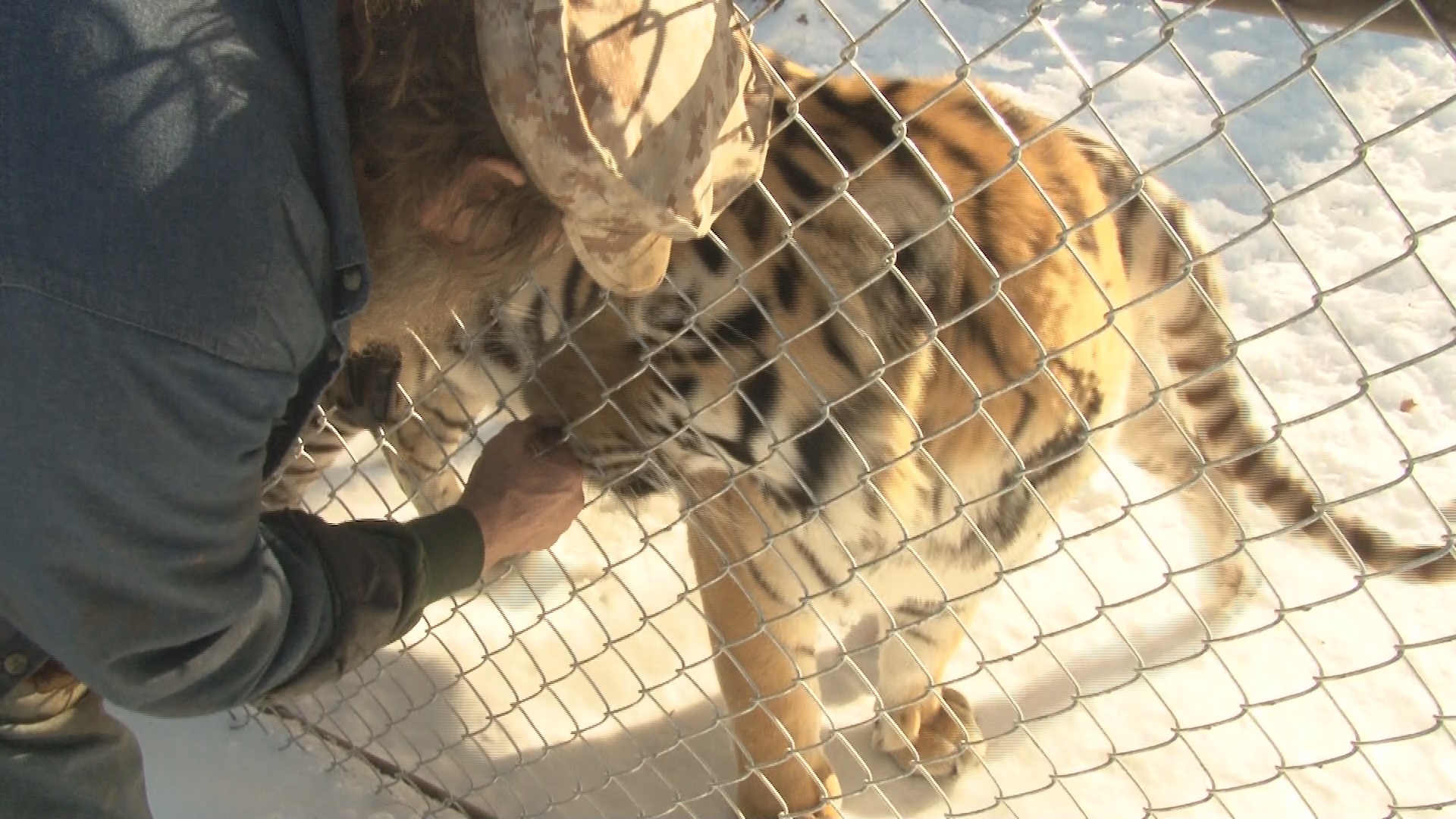 DEW Animal Kingdom | newscentermaine.com