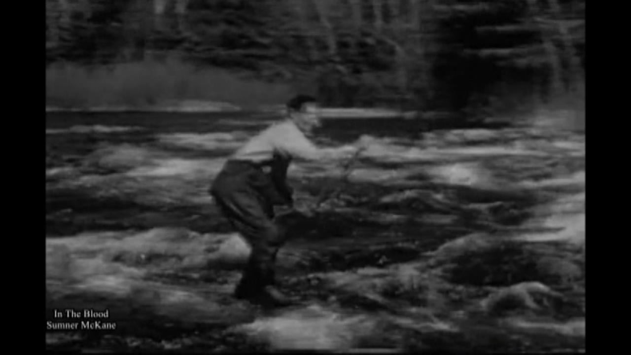 "In The Blood" - Sumner McKane | newscentermaine.com