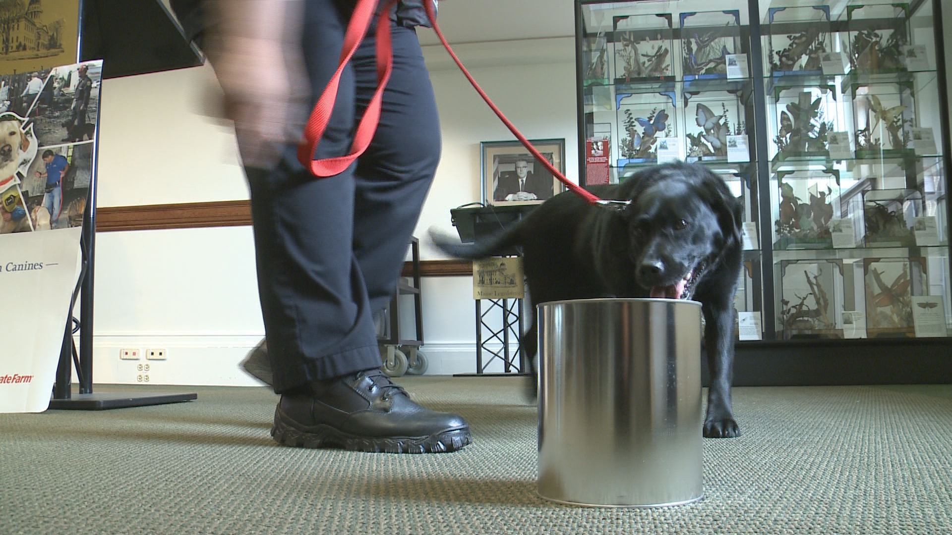 Arson detection dogs recognized in Augusta for their work ...