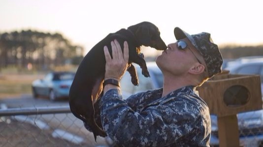 Dogs on Deployment: Connecting military pets with temporary homes ...