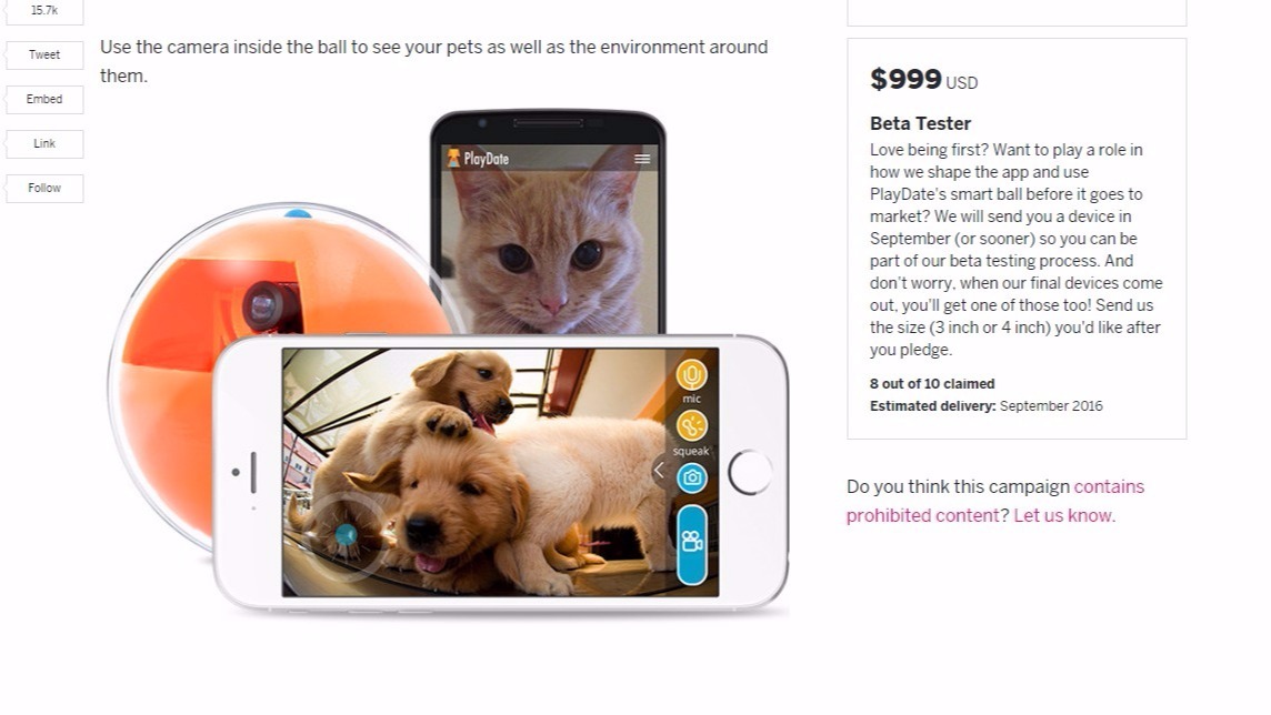 'PlayDate' let's you play with your pet while you're away ...
