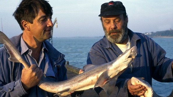 Reasons to dine on dogfish | newscentermaine.com