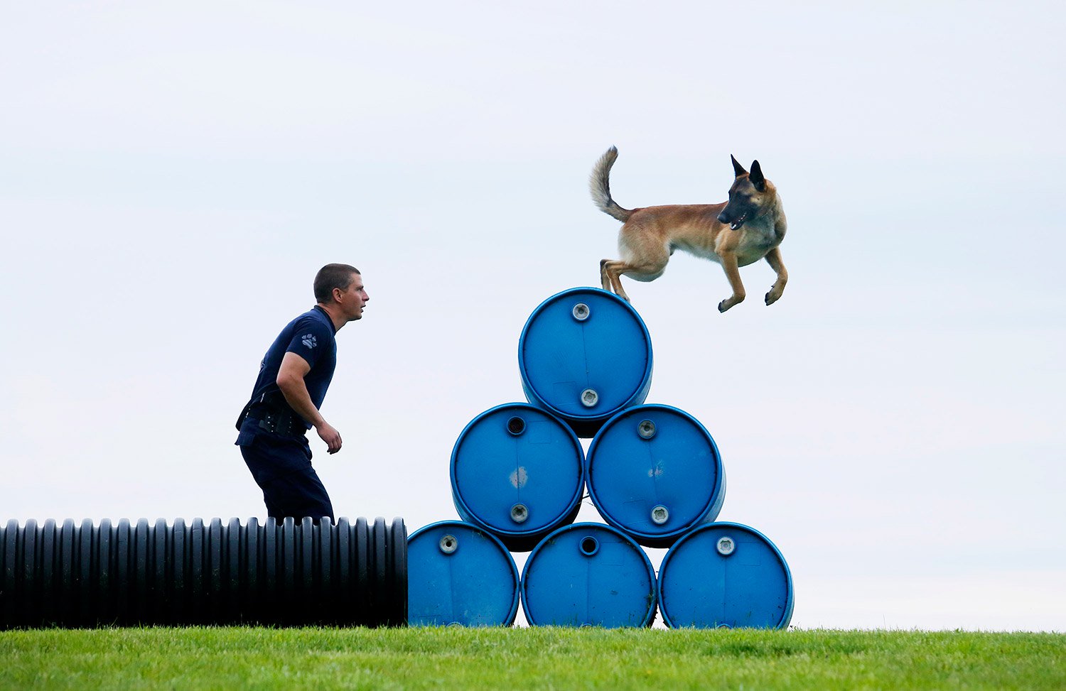 Yarmouth's new police dog, Matrix, trained and ready for the beat ...