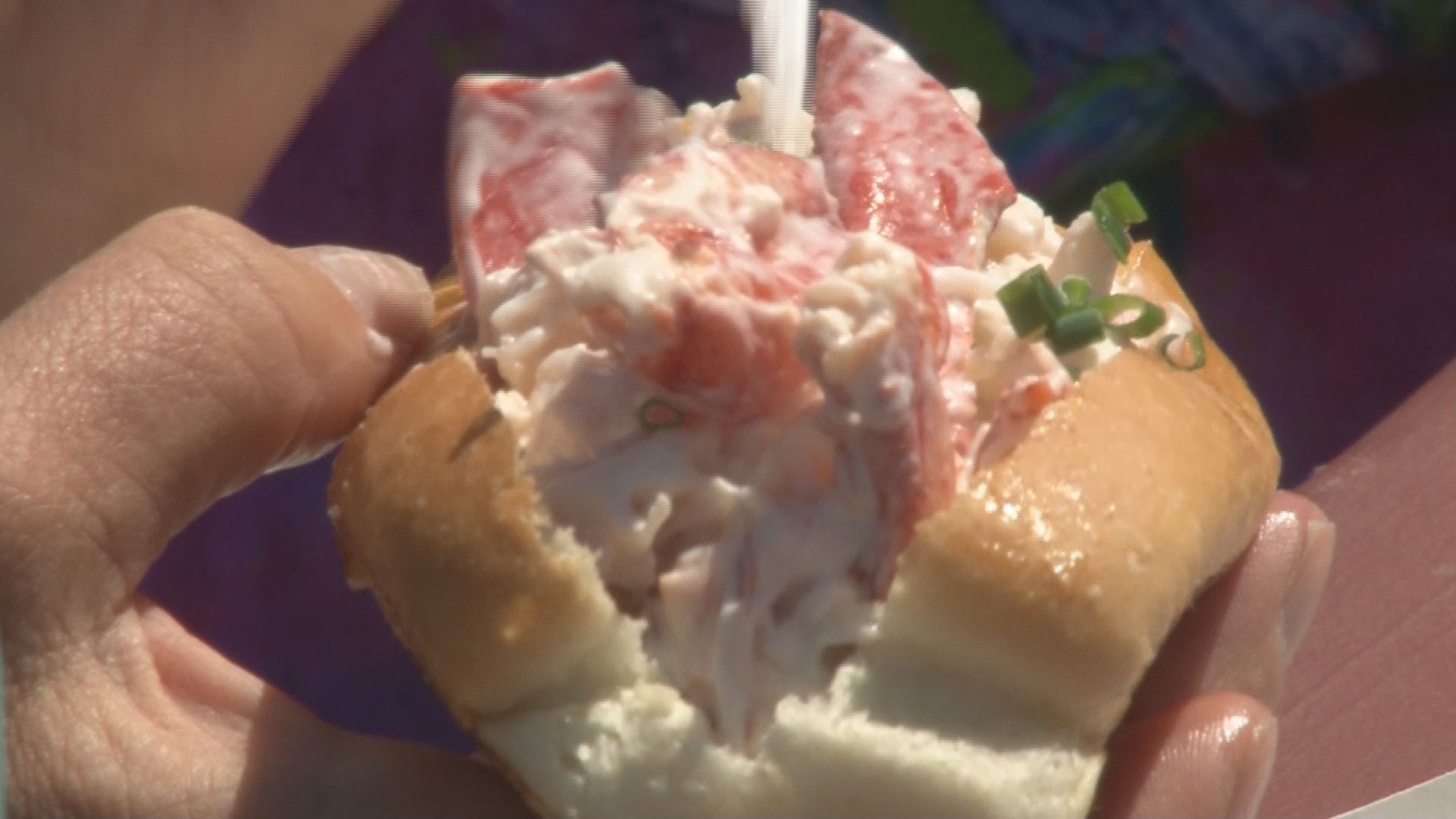 Maine contest will try to determine world's top lobster roll ...